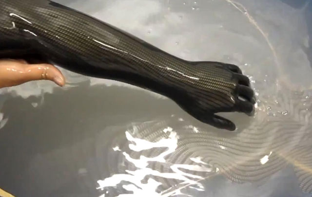 Water transfer printing--Jiangmen iGreen Eco-friendly Plastic Co.Ltd.